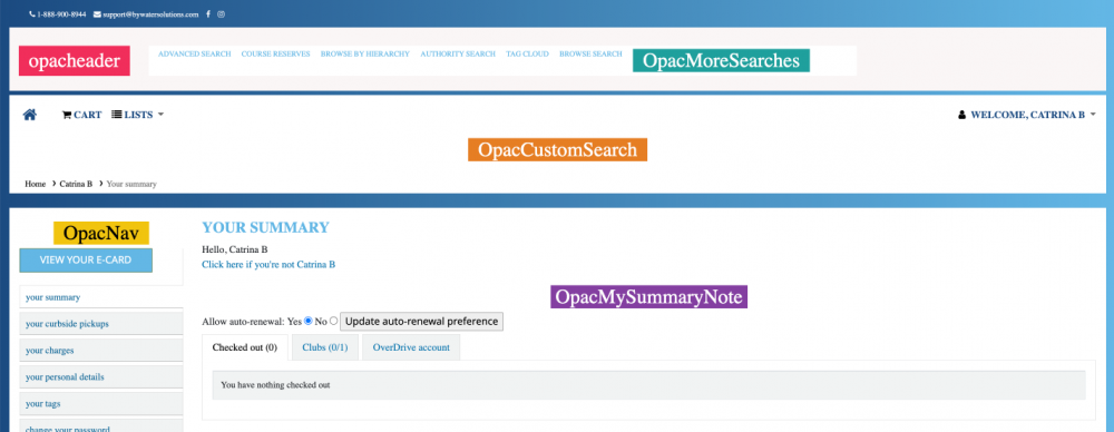 ByWater Solutions | Koha 22.05: Consolidating OPAC Customizations in…