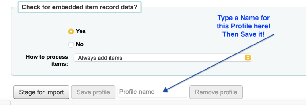 ByWater Solutions | Create Matching Profiles When Importing Records